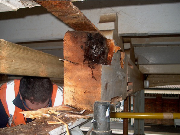 Timber Repairs – Dry Rot – Wet Rot in North Wales | Quirks Property ...